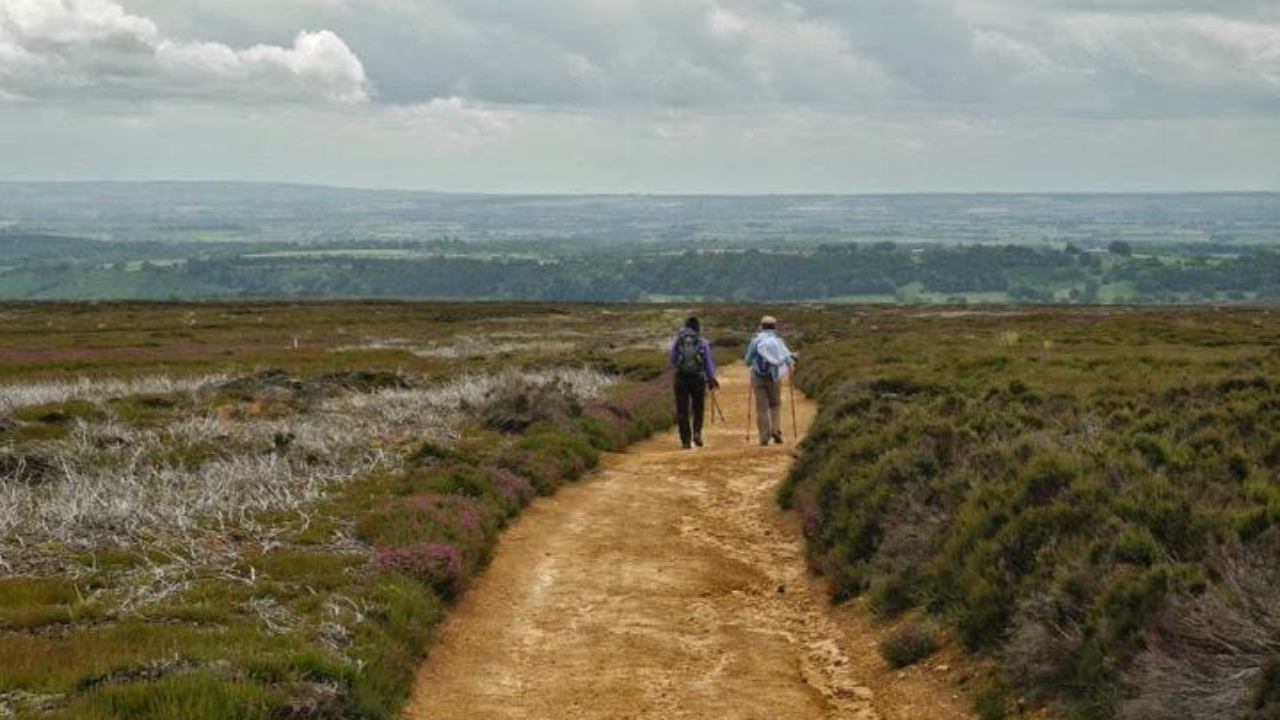Explore the North York Moors with Moorsbus - East Yorkshire